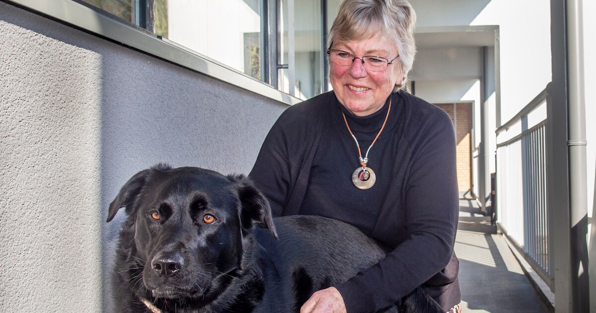 Lekkende vuilniszak leidt tot burenruzie, Mr. Frank Visser grijpt in ...