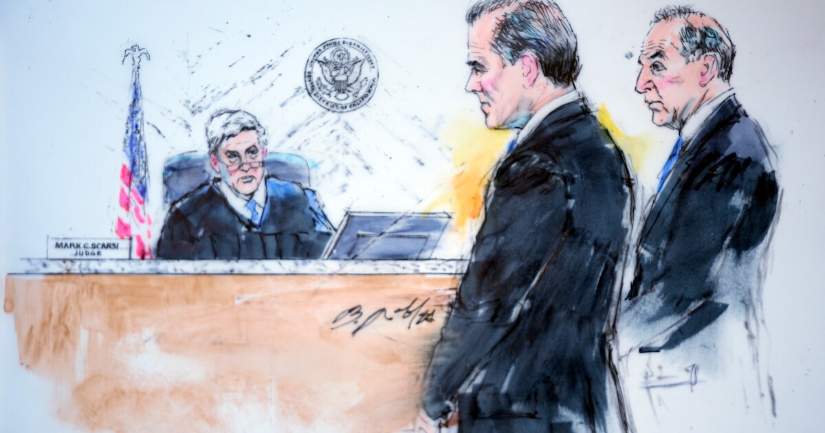 Hunter Biden ontkent schuld in zaak belastingfraude | Buitenland | ed.nl