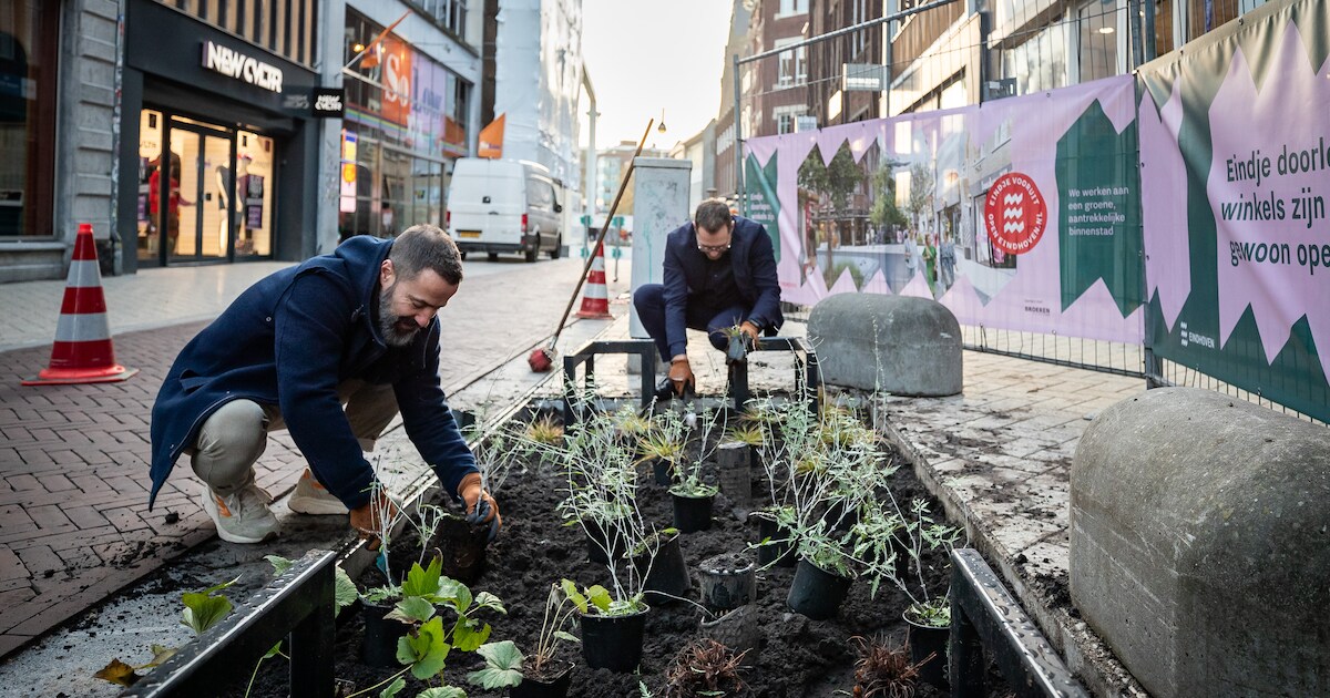 Steeds minder rode steentjes en meer groen in Eindhovense winkelstraten ...