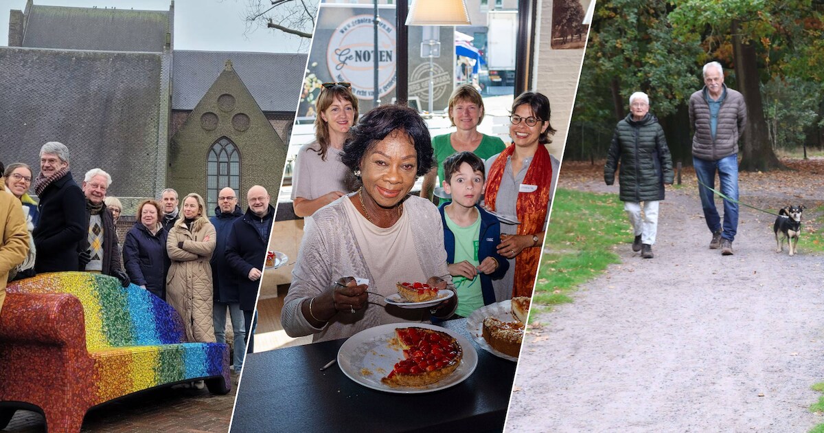 Eersel timmert aan inclusieve weg: ‘Meedoen nog niet altijd ...