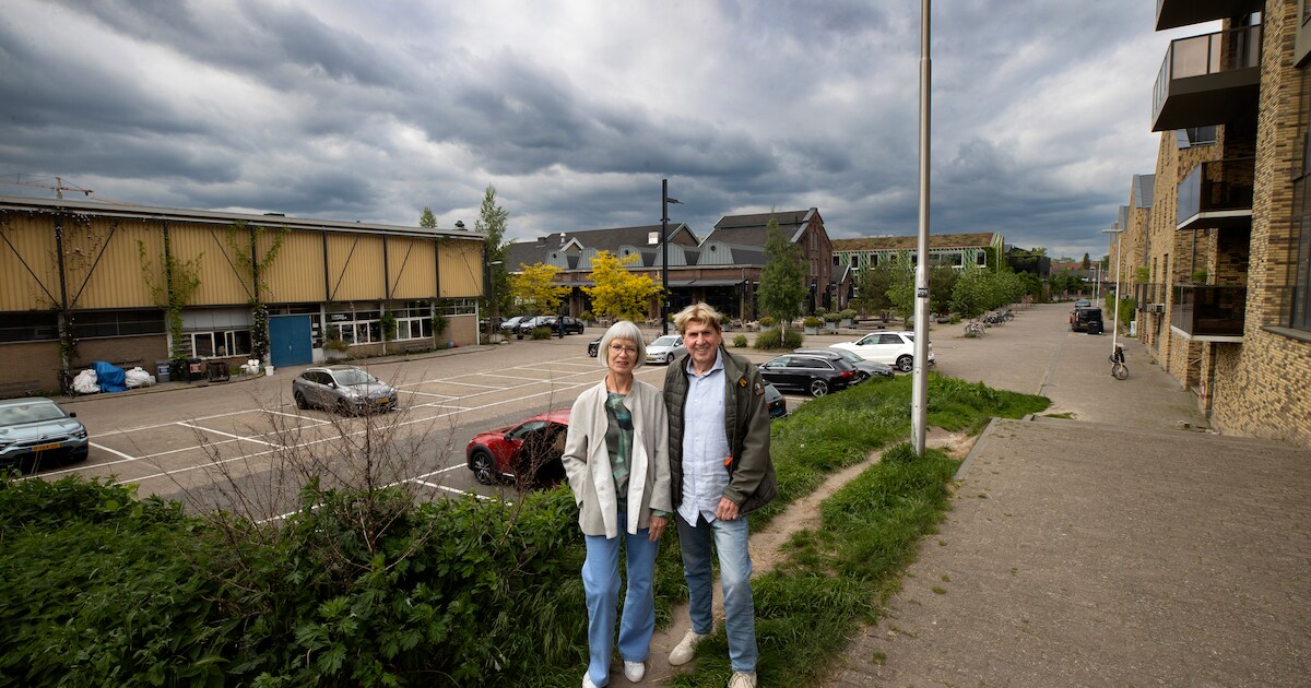 Nieuwe Picustoren wordt ruim 70 meter hoog, maar dat vindt de buurt nog ...