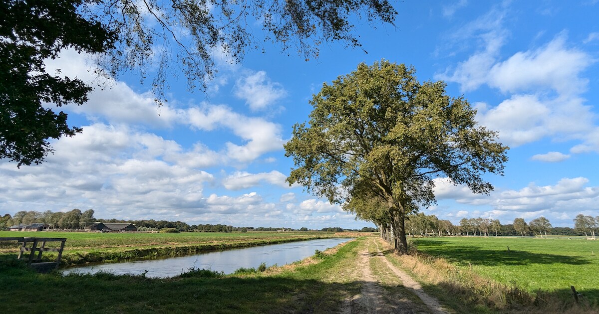 Hoekige beek tussen Nuenen en Son gaat weer kronkelen, kamsalamanders ...