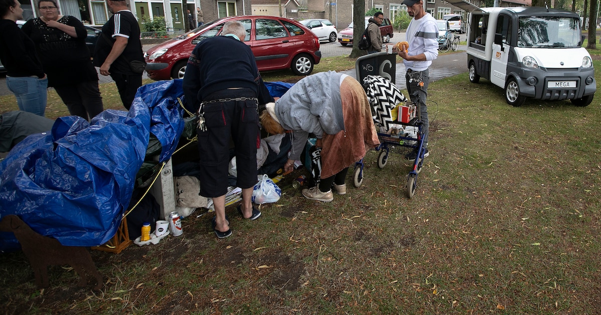 Curator uit Geldrop: ‘Nederland zorgt goed voor zwakkeren’ | Eindhoven ...