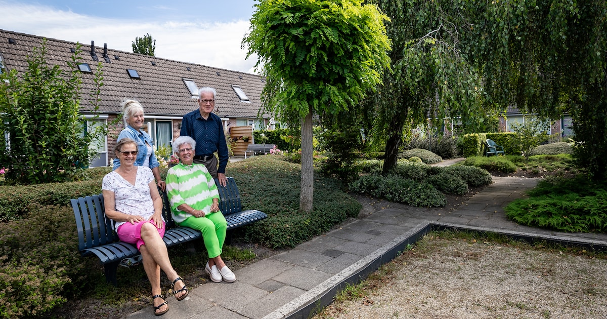 Oudste woongemeenschap van Eindhoven nog springlevend: ‘Het is hier een ...