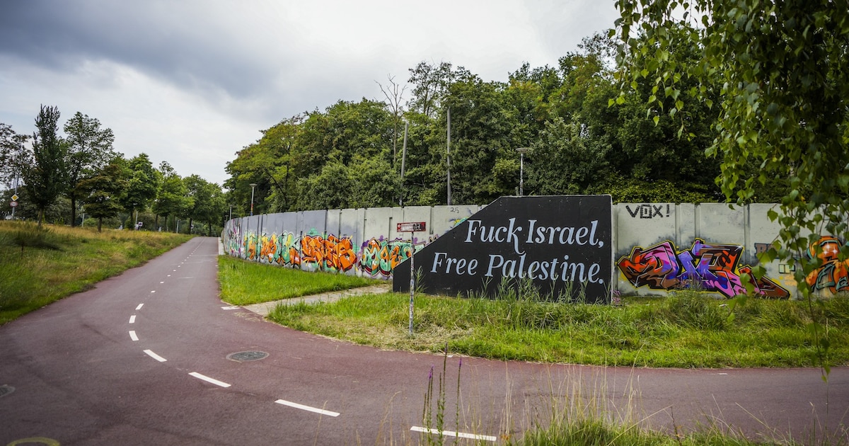 Eindhovense kunstenaar trotseert politie: graffiti met ‘Fuck Israël ...