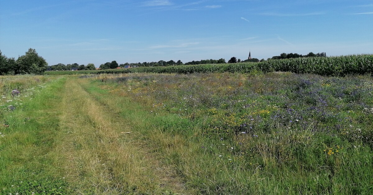 Groot onderzoek naar luchtkwaliteit in agrarisch gebied van start in ...