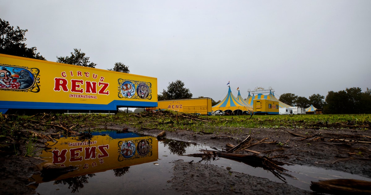 Grond op Berkendonk is te nat voor circus, Helmond biedt zelf ...