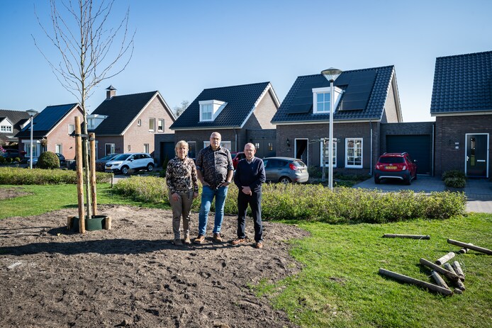 Helmond plant bomen ‘zonder overleg’: ‘Het is nu een iel boompje, maar ...