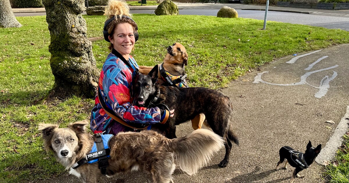 Ellen heeft vier honden, zes katten en nog veel meer: ‘Ik heb veel ...