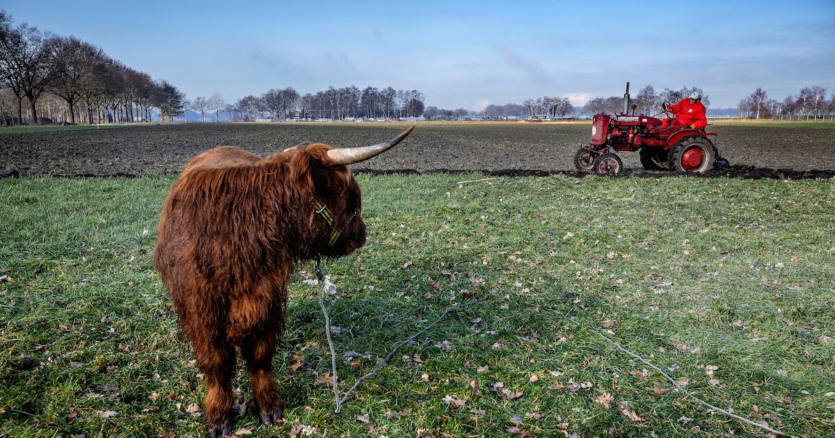 Project de Groene Long in Bladel wordt een derde groter: ‘Dit is een ...