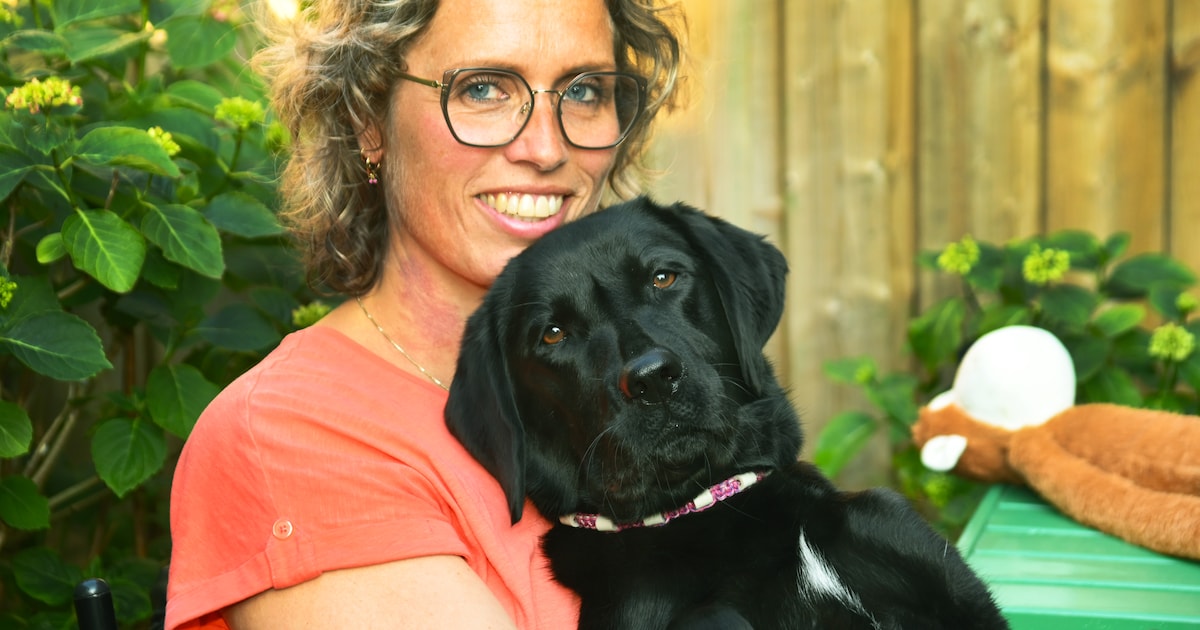 Angela waarschuwt hondenbezitters na drama met hulphond Lara: ‘Wat als ...