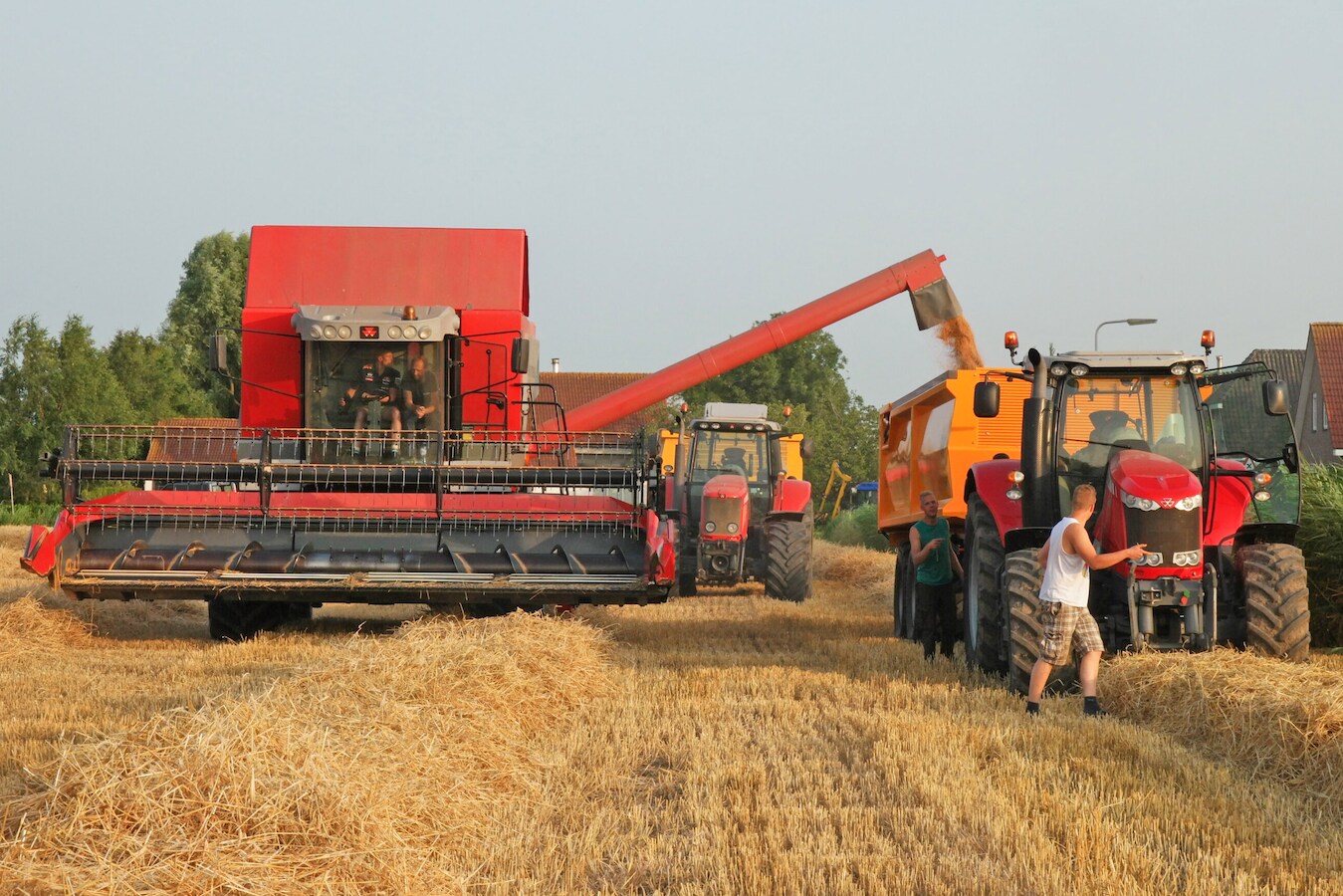 Boer moet blijven maken wat consumenten willen; als iedereen biologisch ...