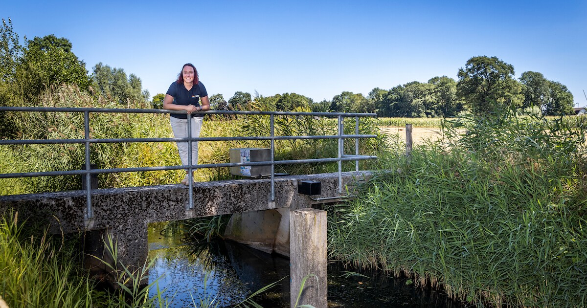 Veel minder water door de Maas vanwege de droogte, water aftappen in ...
