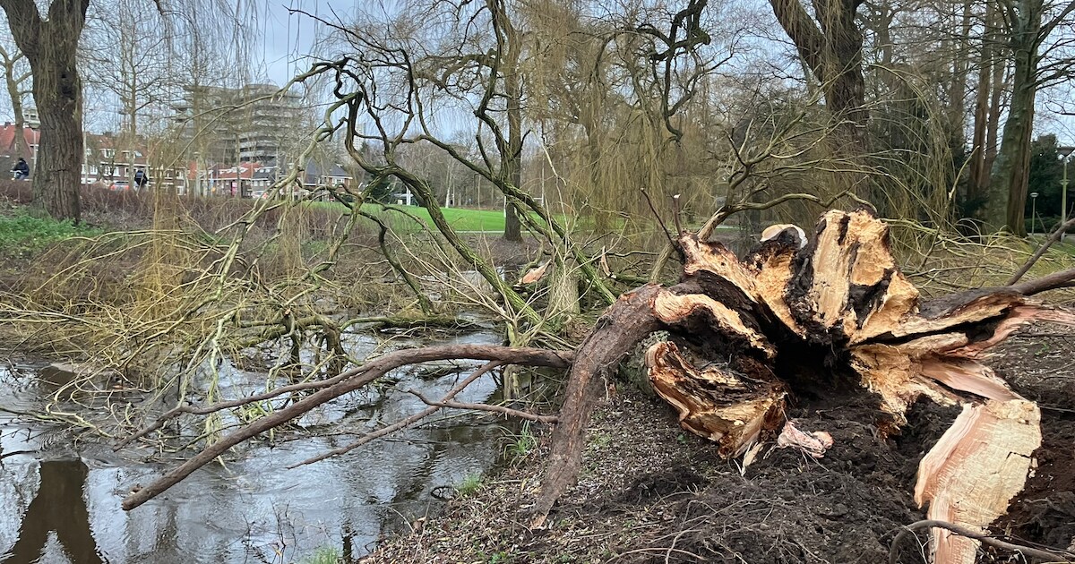 Schade door harde wind in Zuidoost-Brabant, maar een echte storm was ...