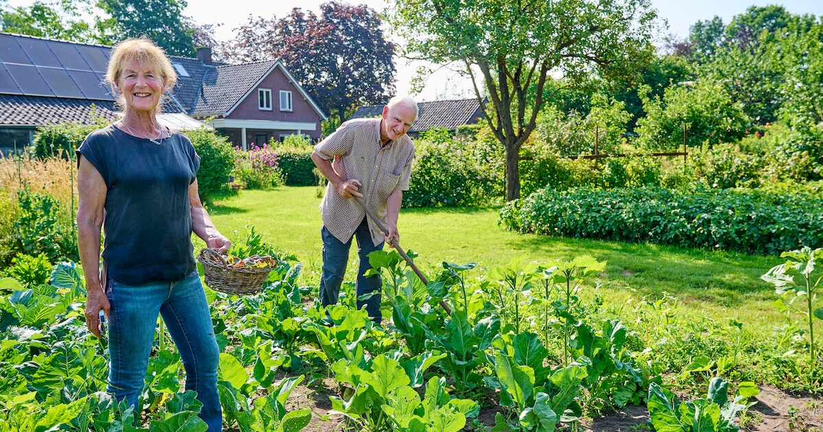 Het groene paradijs van Harry en Berdie: ‘In het voorjaar kom ik ook ...
