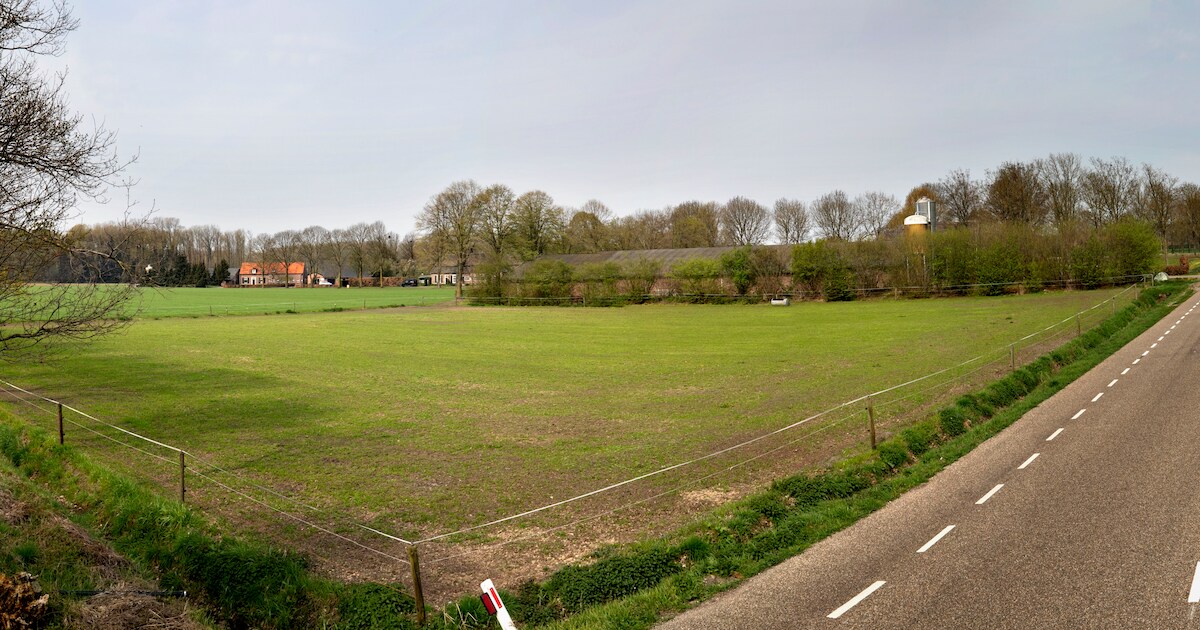 Geitenstal in Bakel blijft op verzet stuiten | Regio | ED.nl