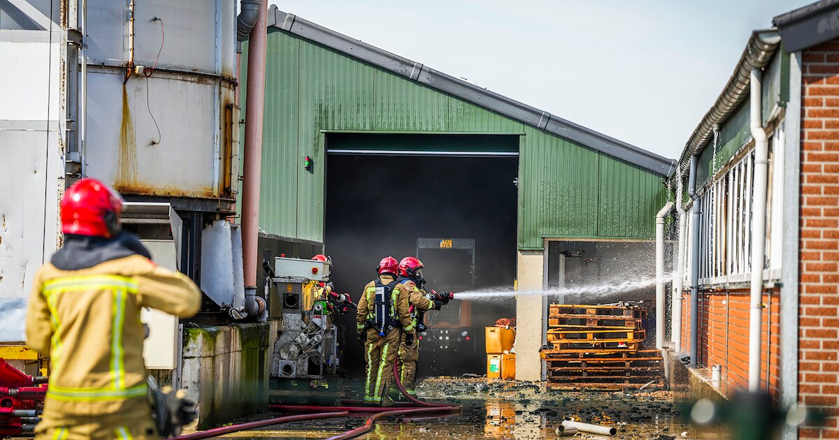Na stalbrand wacht het opruimen van de ravage: ‘Impact op veehouders is ...