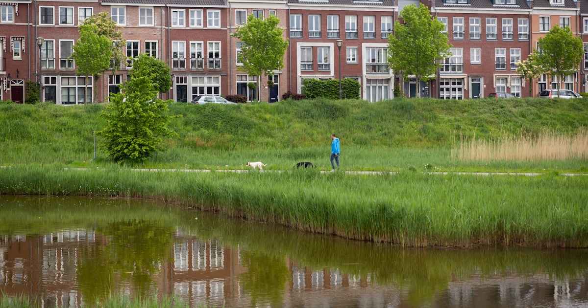 Architecten en wetenschappers uit hele wereld zien modern plan voor ...