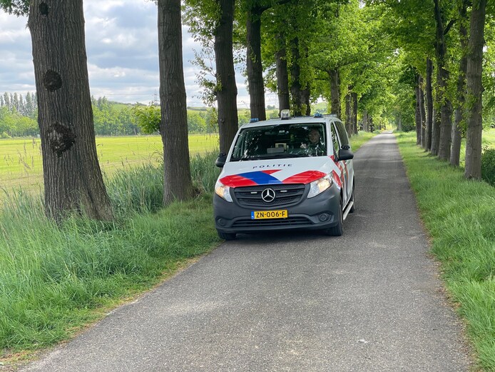 Lynx ontsnapt uit Eindhoven Zoo: ‘Het is nog maar een jonkie’ | Geldrop ...