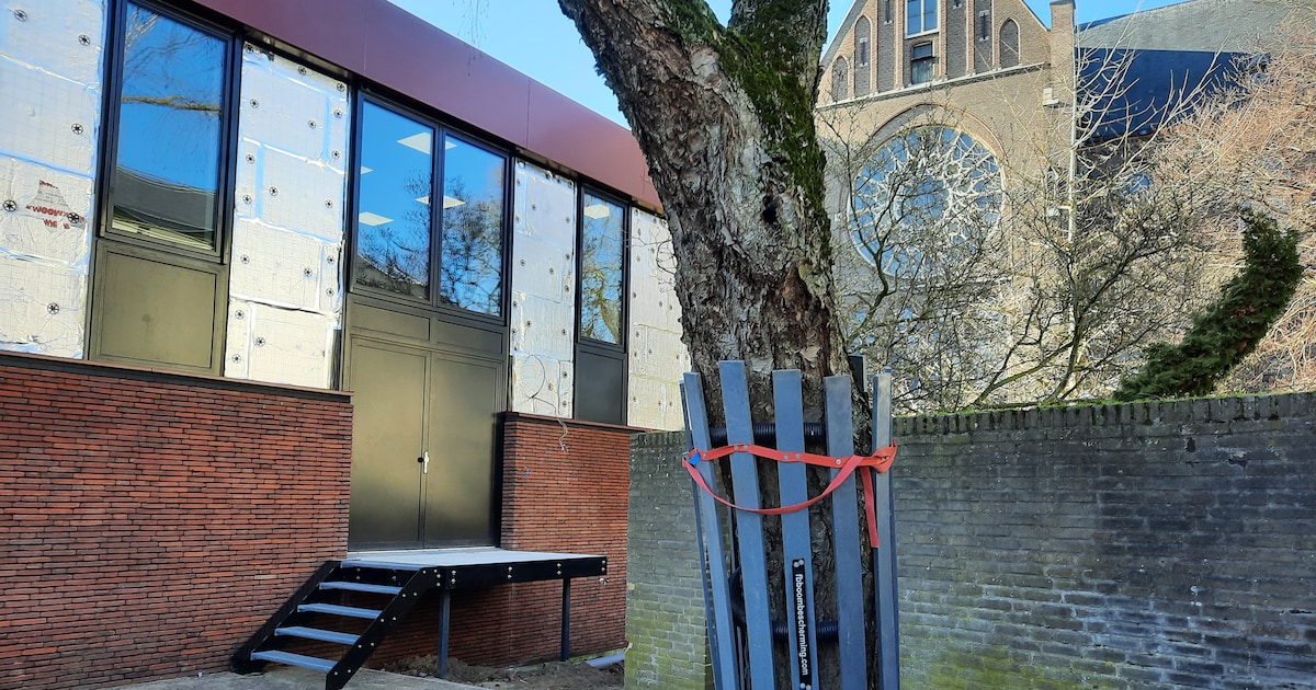 Verenigingen verhuizen naar gemeenschapshuis, maar boom staat in de weg ...