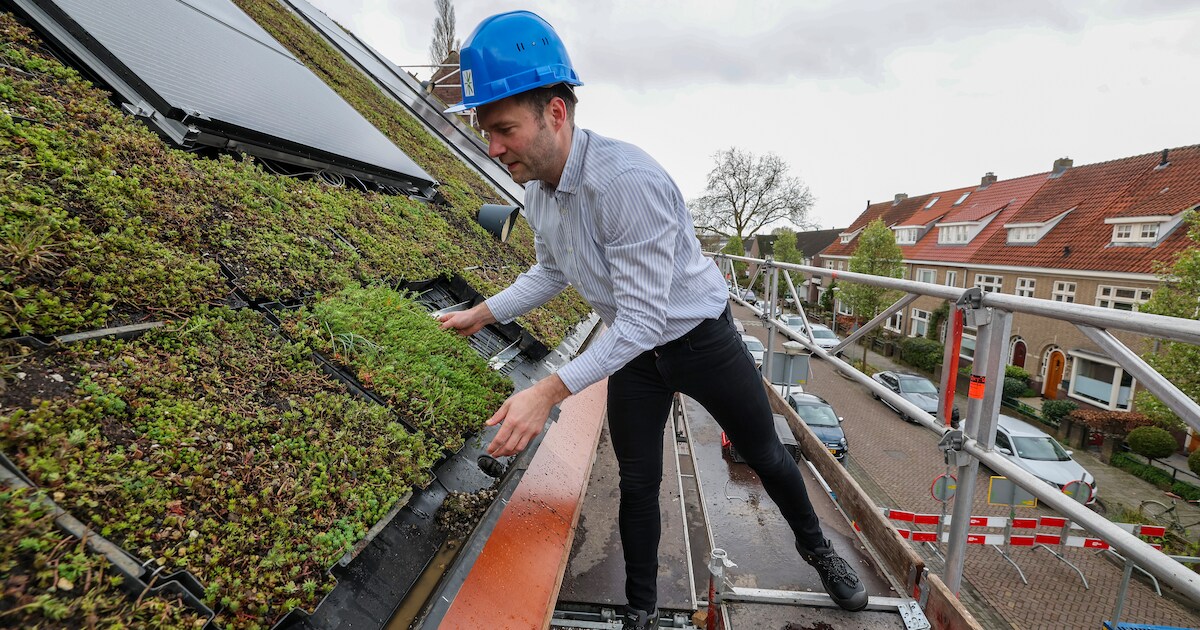 Groen dak met zonnepanelen, vogelkastjes en insectenhotels op vijf ...