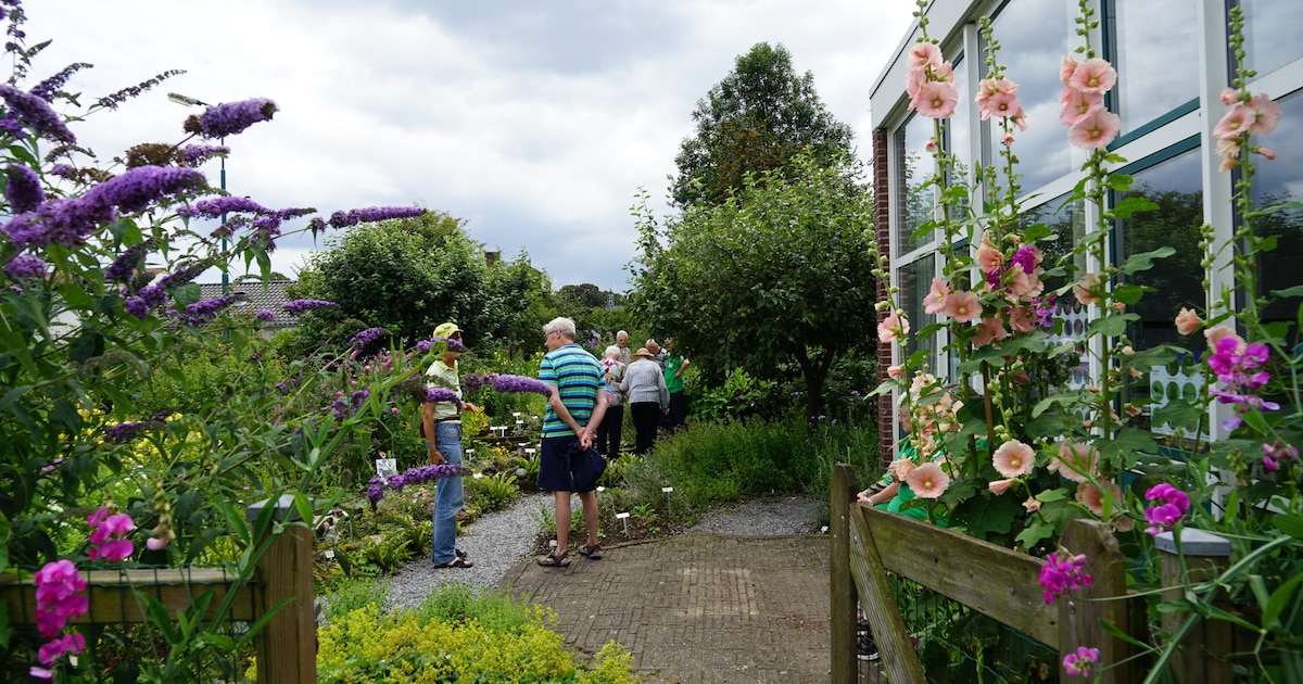 Open dag in vlindertuin Eindhoven | Eindhoven | ED.nl