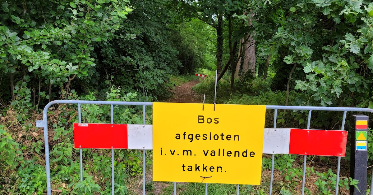 Geldrops Parkje tijdelijk afgesloten; onverwachts afbrekende takken ...