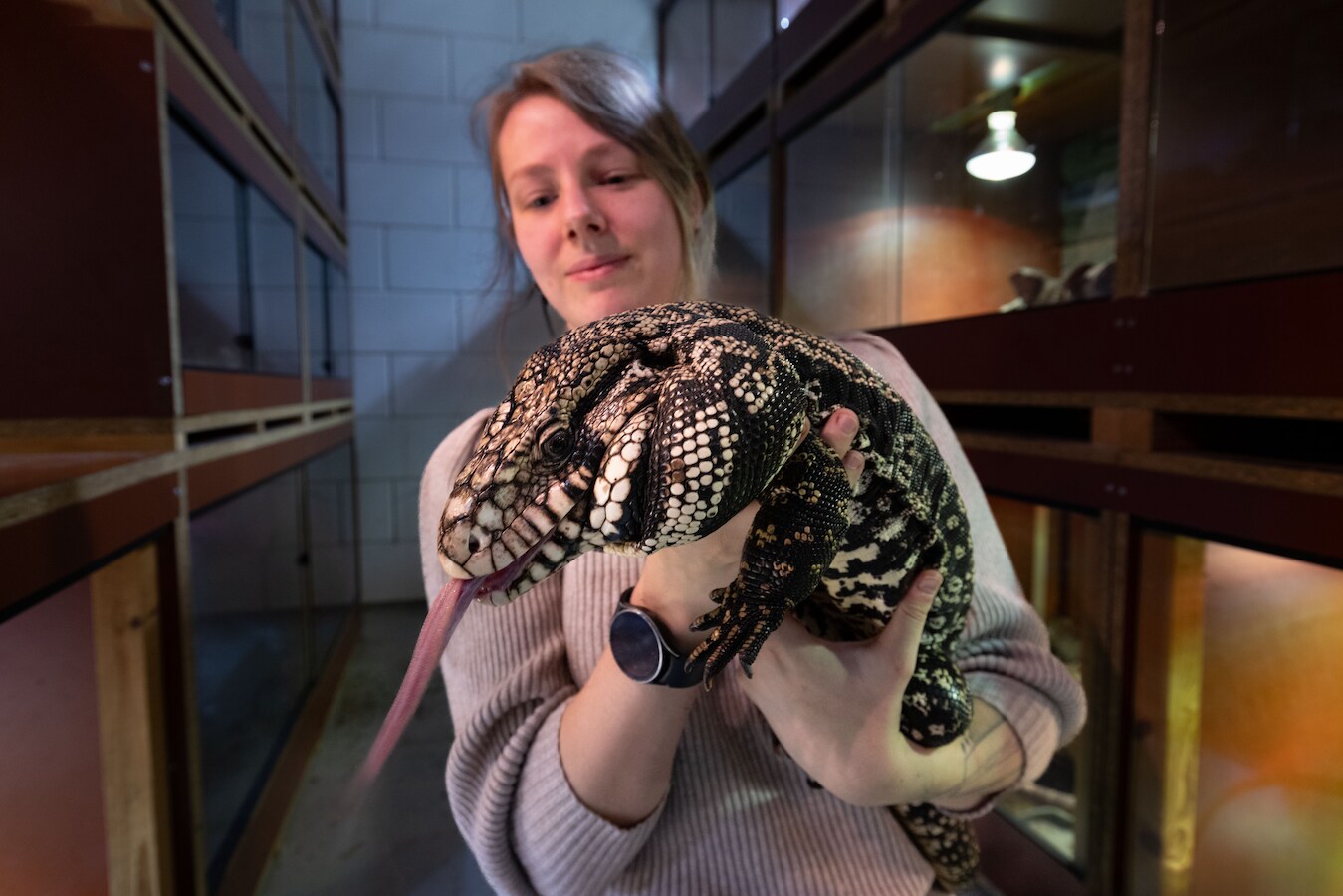 Karlijn heeft veertig reptielen in haar pand: ‘Ze zijn niet zo eng als ...