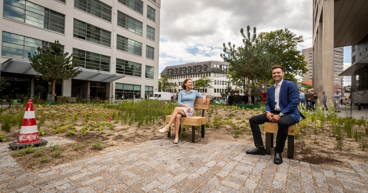 Te weinig water in de zomer, te veel bij hevige regen - Eindhoven ...