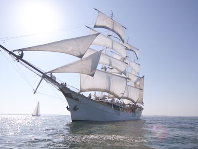 Bladella kroont zich na goede tweede helft tot kampioen: ‘Het is echt heel gaaf om volgend jaar ...