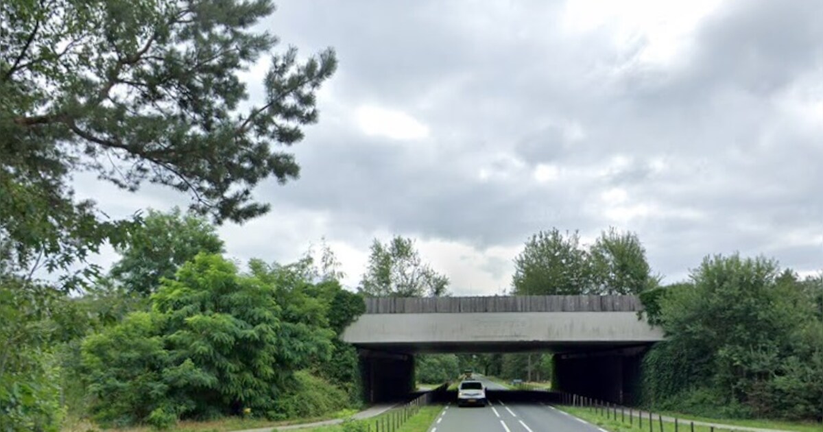 Wat kruipt er over het ecoduct tussen Leende en Valkenswaard ...