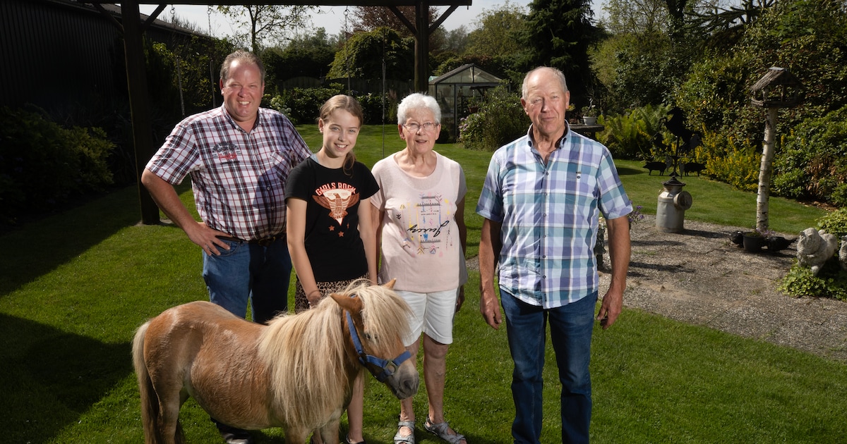 Bijna de hele familie Bax woont op één erf: ‘We zoeken onderling wel ...