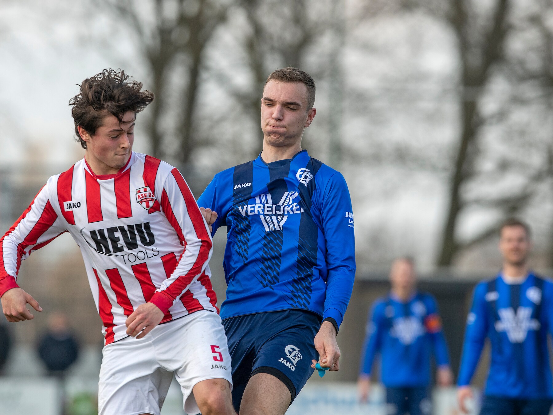 Baest, Best-Oirschot of Heidelanden: hoe gaat de nieuwe fusiegemeente ...