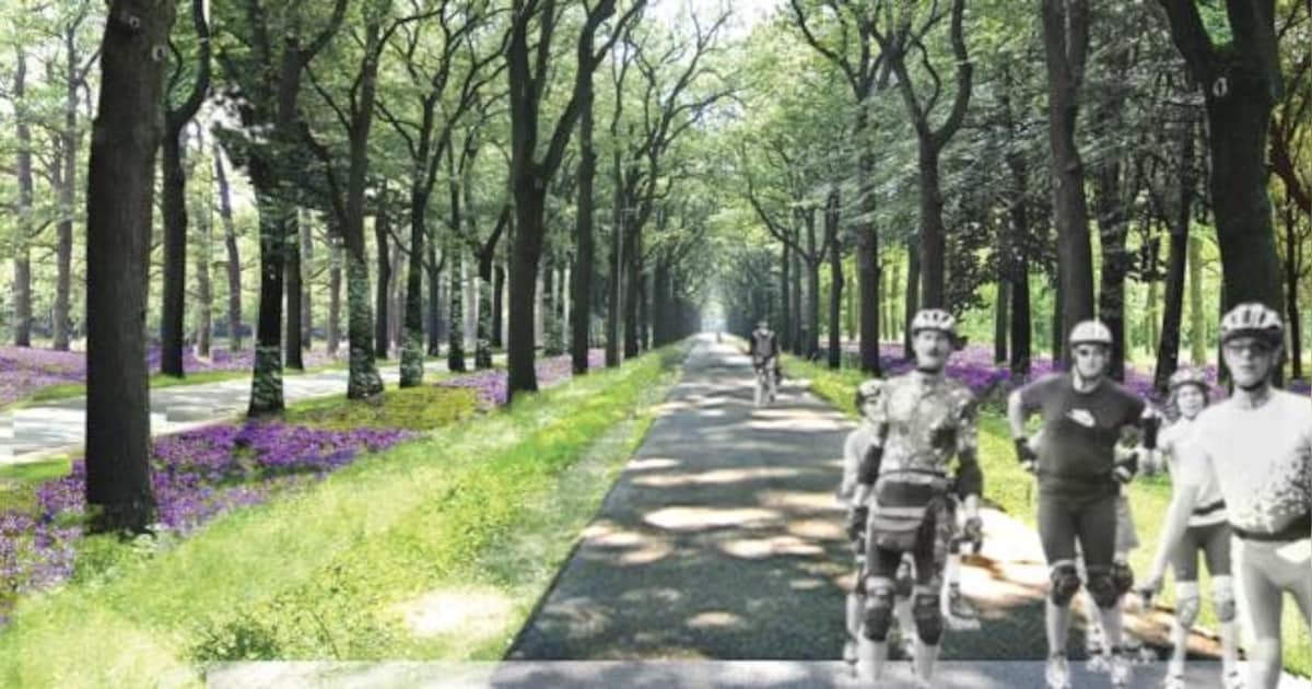Groene Corridor tussen Eindhoven en Oirschot komt er | Regio | ED.nl
