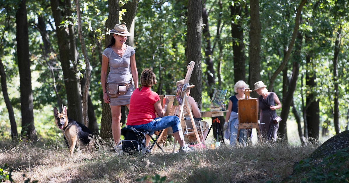 Schilderen in de open lucht: ‘De Aa en omgeving is gebied om trots op ...