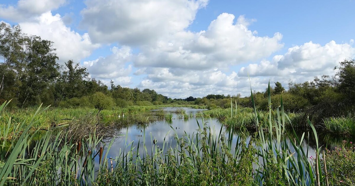 Heemkundelid Frans van de Pas gaat met boek over de Peel de grenspalen ...