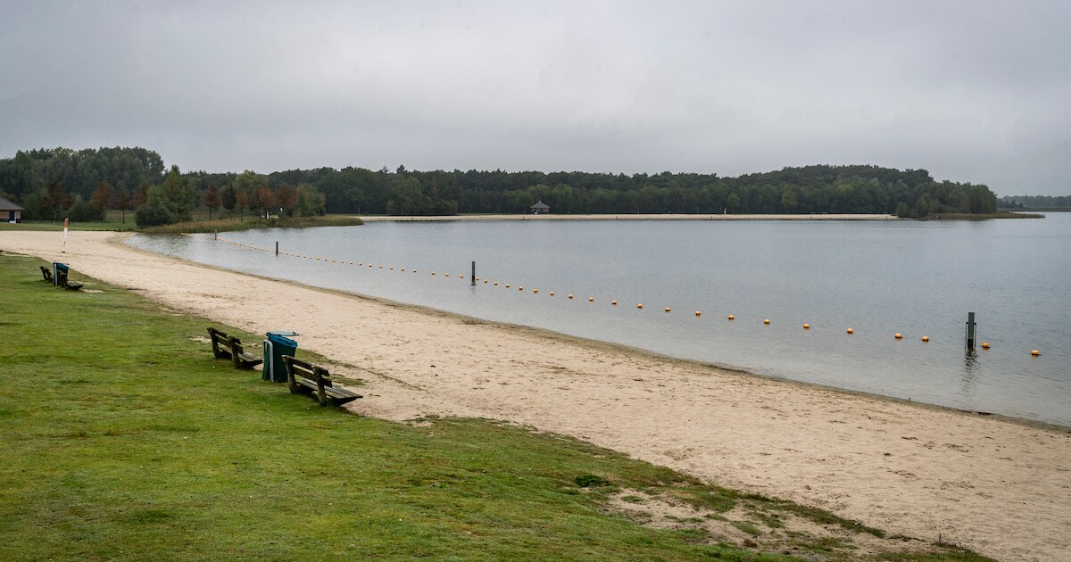 Grootschalige festivals op Berkendonk moeten opschuiven voor de natuur ...