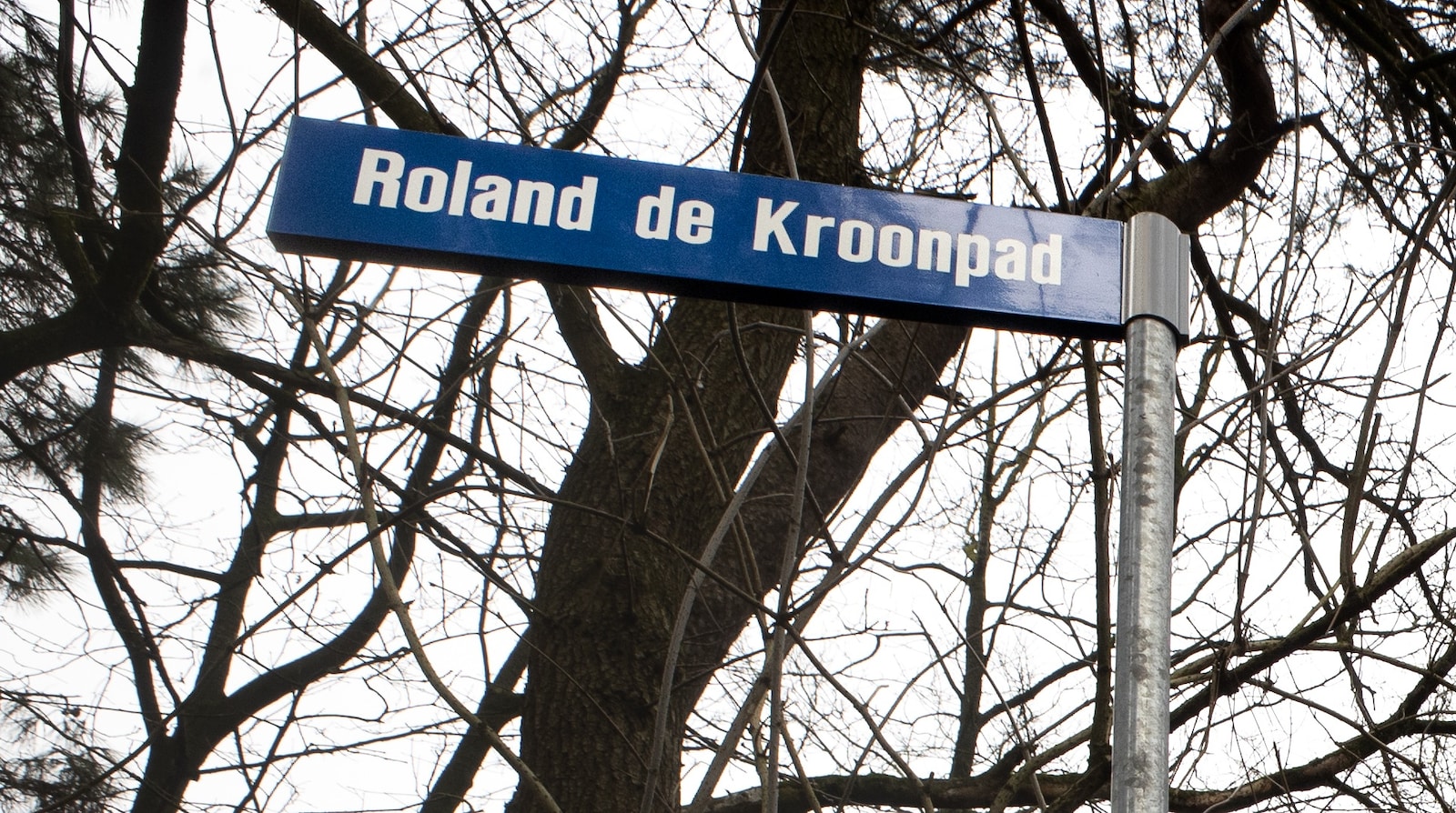 Voetpad in Bakel herinnert voortaan aan Roland de Kroon | Foto | ed.nl