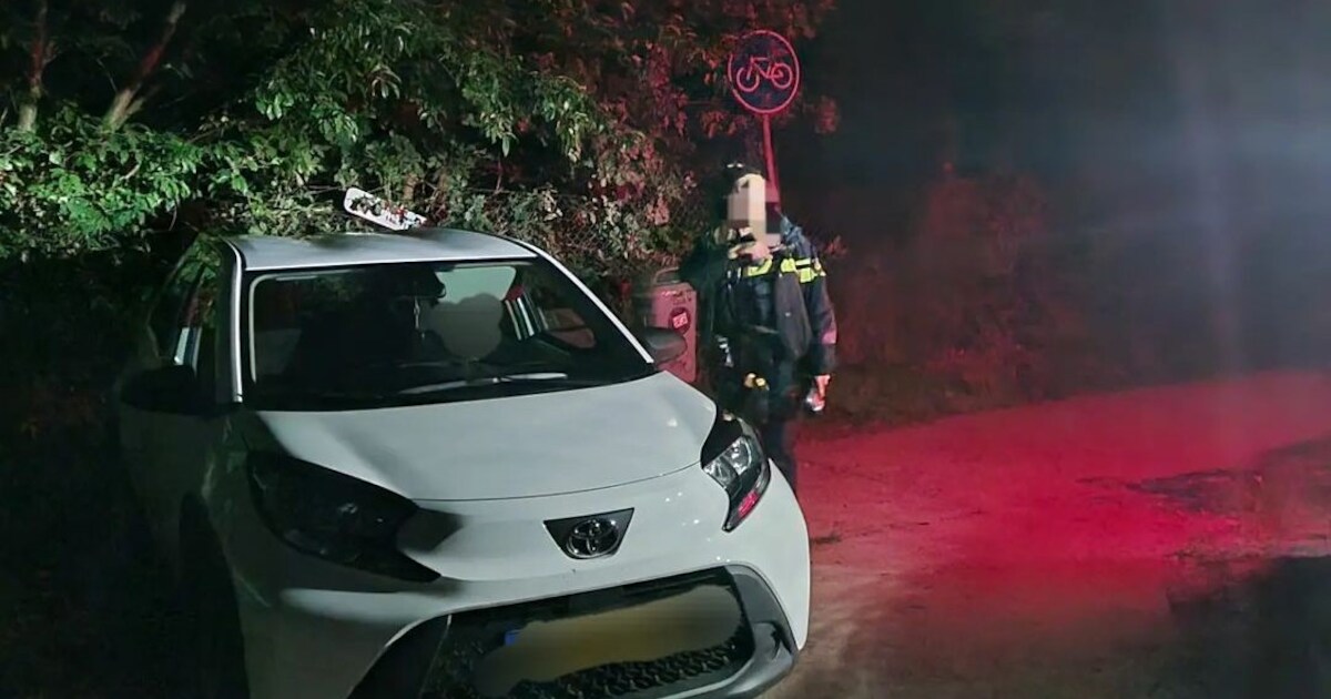 ‘Help!’ Roemeen houdt buurtgenoten wakker met roep om hulp, maar blijkt ...