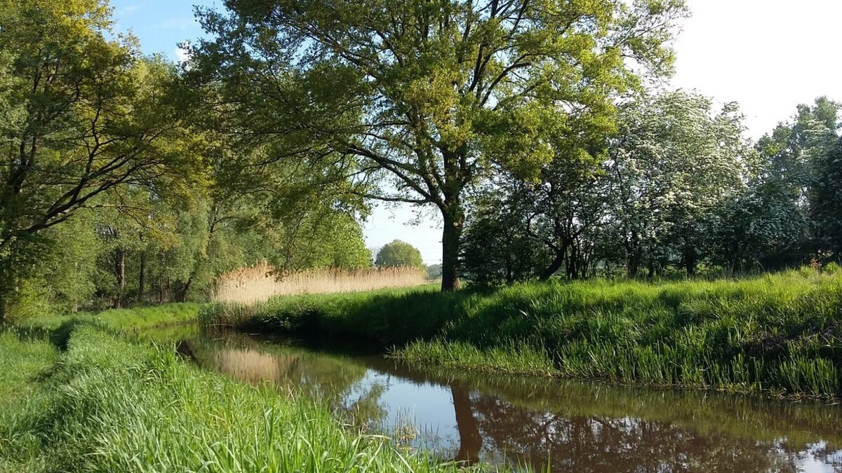 Bijna 3.000 soorten planten en dieren gespot in beekdal Kleine Dommel ...