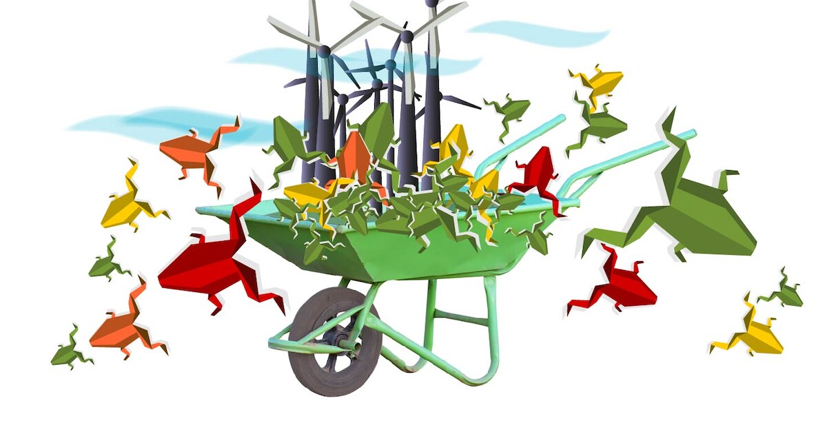 Wethouders vragen jaar extra om alle kikkers in kruiwagen van de ...