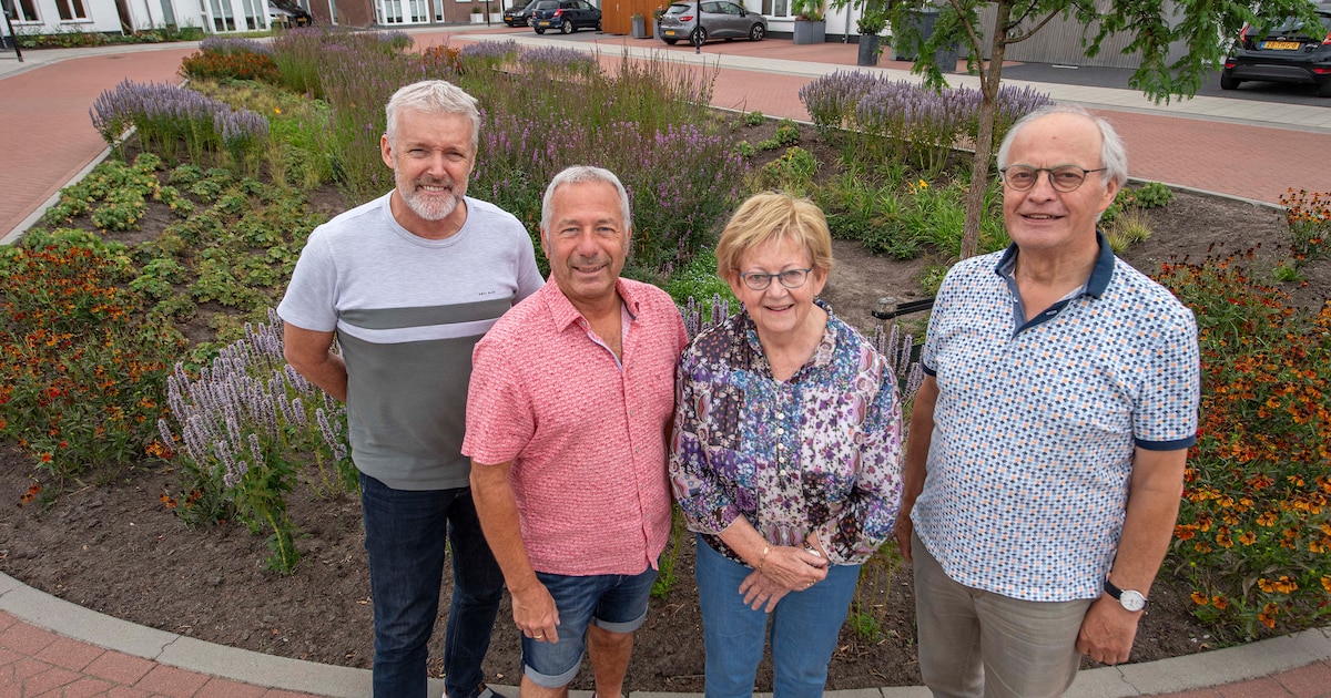 Buurt in Ommel is blij met ‘wadi’ die vol planten staat: ‘Het is een ...