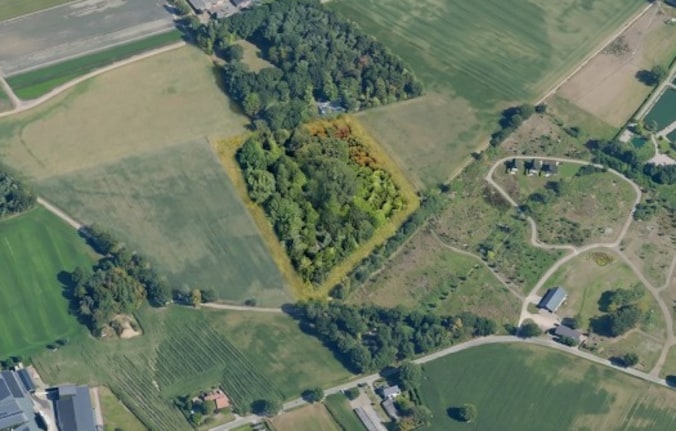 Beekse Bergen legt nieuw bos van 2,6 hectare aan in Hilvarenbeek ...