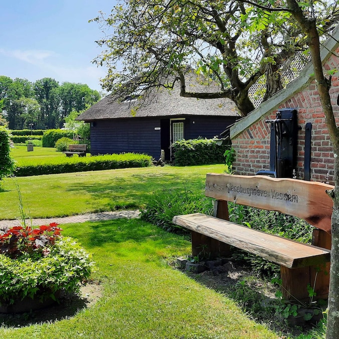 Goede doelenmarkt Jacobushoeve in Vessem | Regio | ED.nl