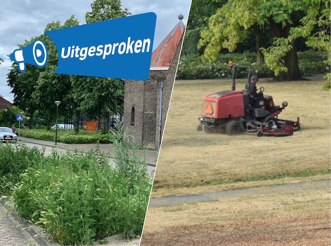 Meer maaien of juist meer groen? Inwoners Geldrop-Mierlo verdeeld over ...