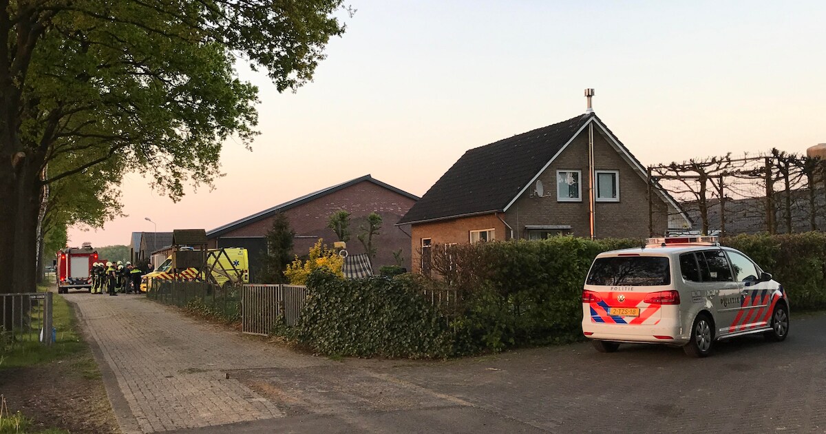 Giftig gas komt vrij in stal in Berlicum: twee koeien overleden, twee ...