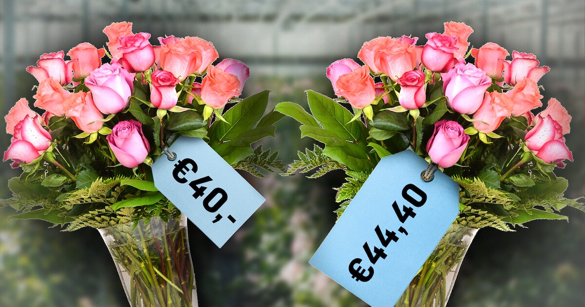 Bloemen straks nog duurder door btw-verhoging? ‘Daar pak je de hele ...