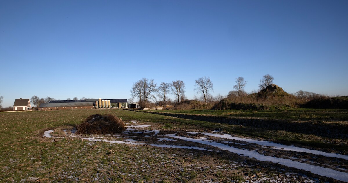 Asten heeft nieuwe regels voor huisvesten arbeidsmigranten: ‘Maatwerk ...
