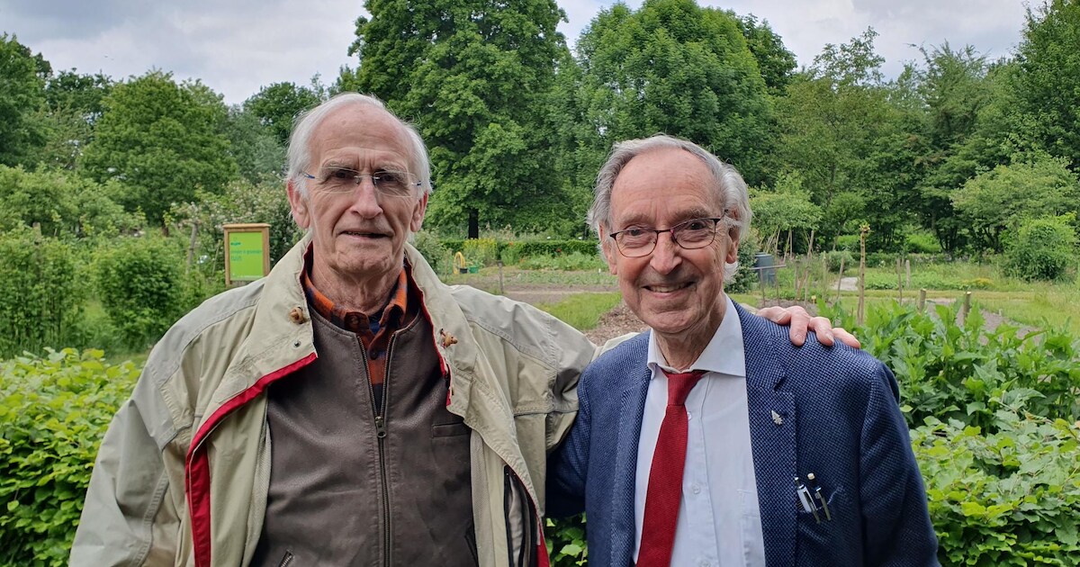Onthulling moerascypres markeert zilveren jubileum Natuurtuin ’t Loo ...