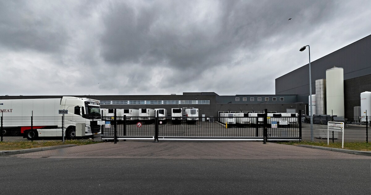 Vijftig mensen die werkten op slachthuis in Helmond, zijn getest op ...